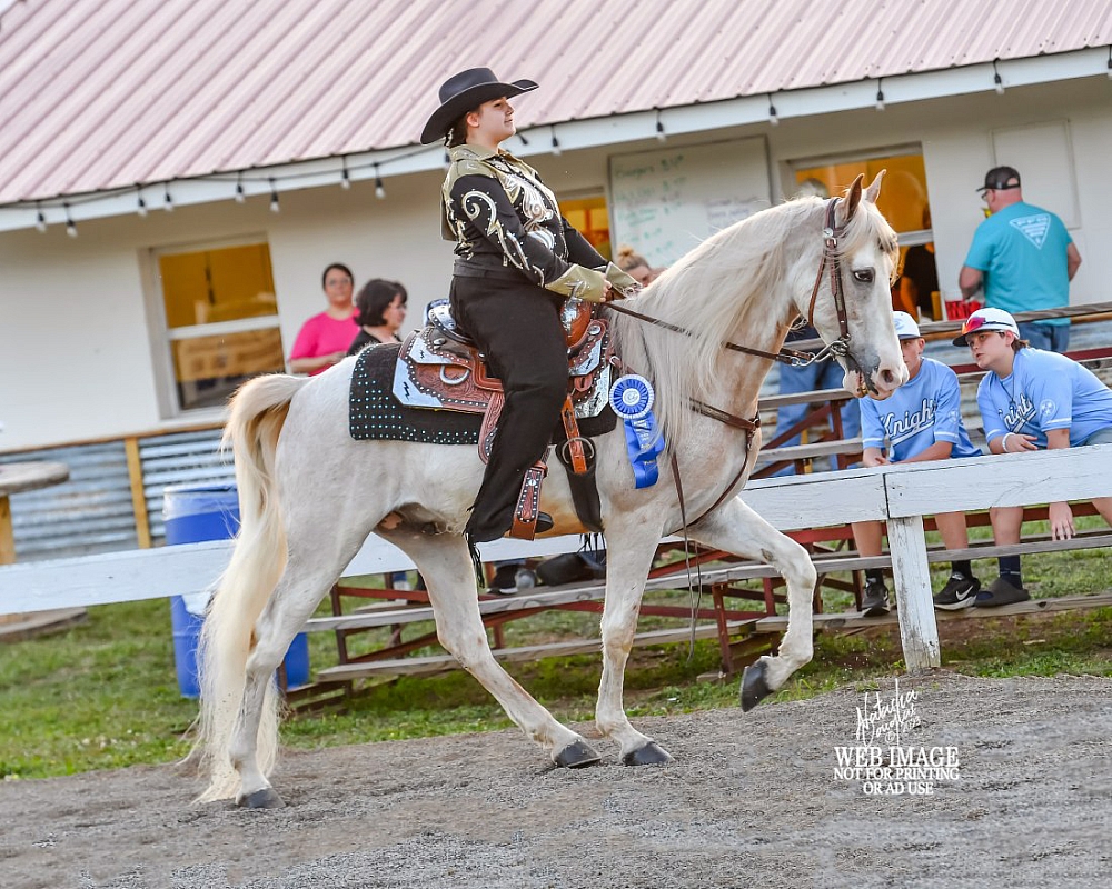 2023 A Knight Out Englewood Horse Show - 07 - Flat Shod Pleasure ...