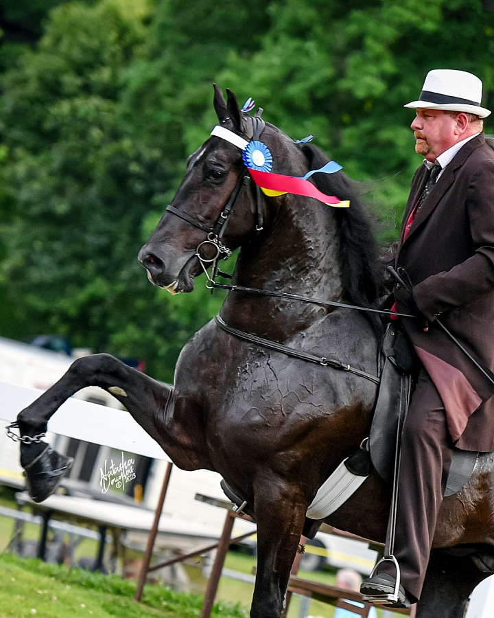 2023 Chestnut Hill Charity Horse Show - Show Proofs - 2023 Show Proofs ...